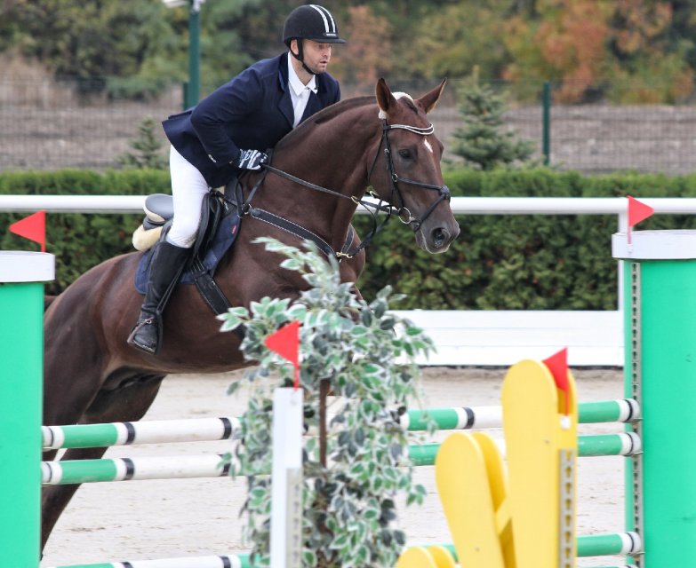 Alexander, 53, Франкфурт - "RusDate.de"